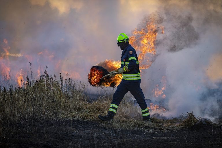 Causes et conséquences des incendies : ce que vous devez savoir ...